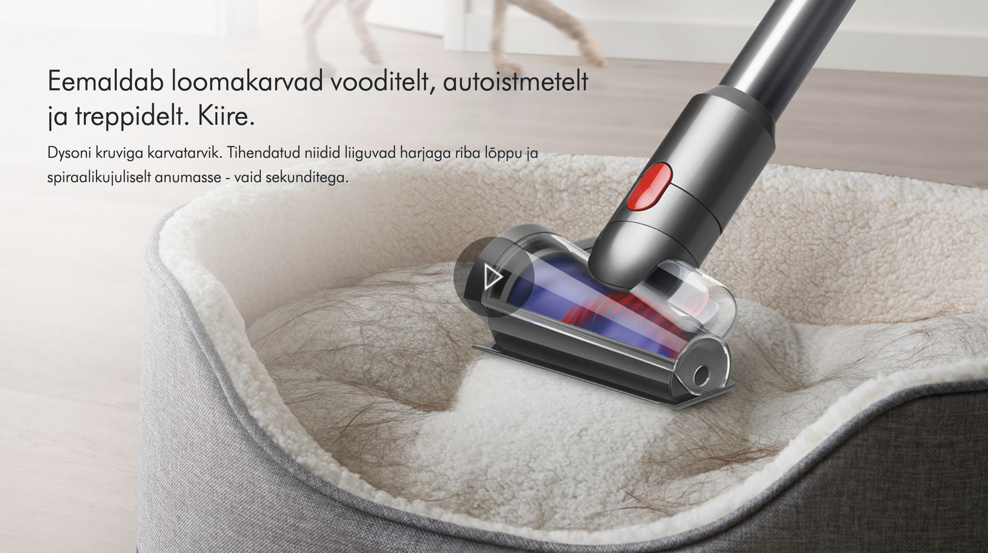 Varstolmuimeja Dyson V12 Slim Detect Absolute - 1a.ee