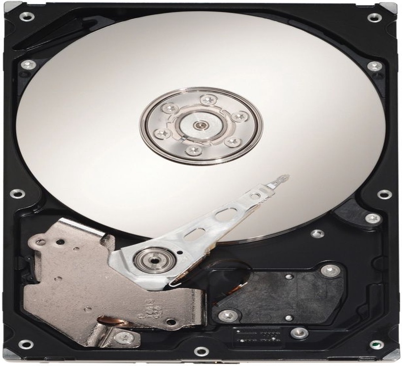 Kietasis diskas (HDD) Seagate ST4000VX000, 3.5", 4 TB - 1a.lt